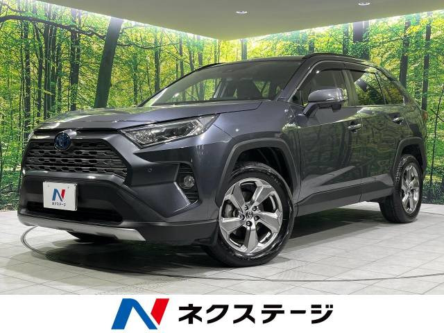 中古車 トヨタ RAV4 ハイブリッドG の中古車詳細 (54,630km, グレーメタリック, 山形県, 310.9万円) | 中古車情報 ...
