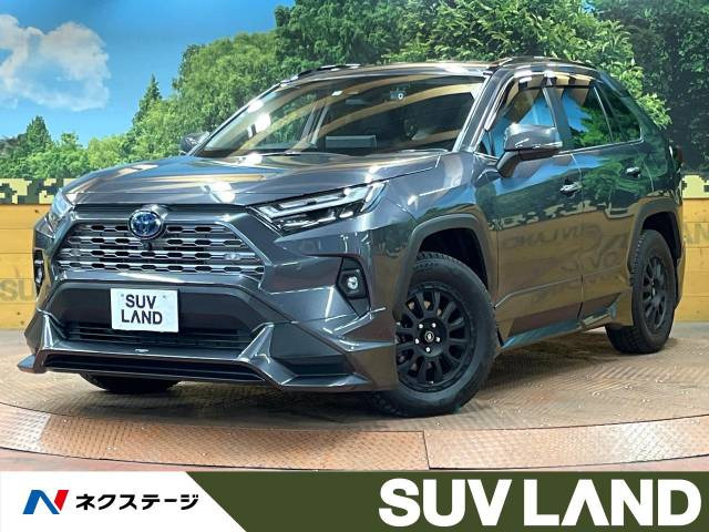 中古車 トヨタ RAV4 ハイブリッドG の中古車詳細 (25,000km, グレーメタリック, 千葉県, 394.1万円) | 中古車情報 ...